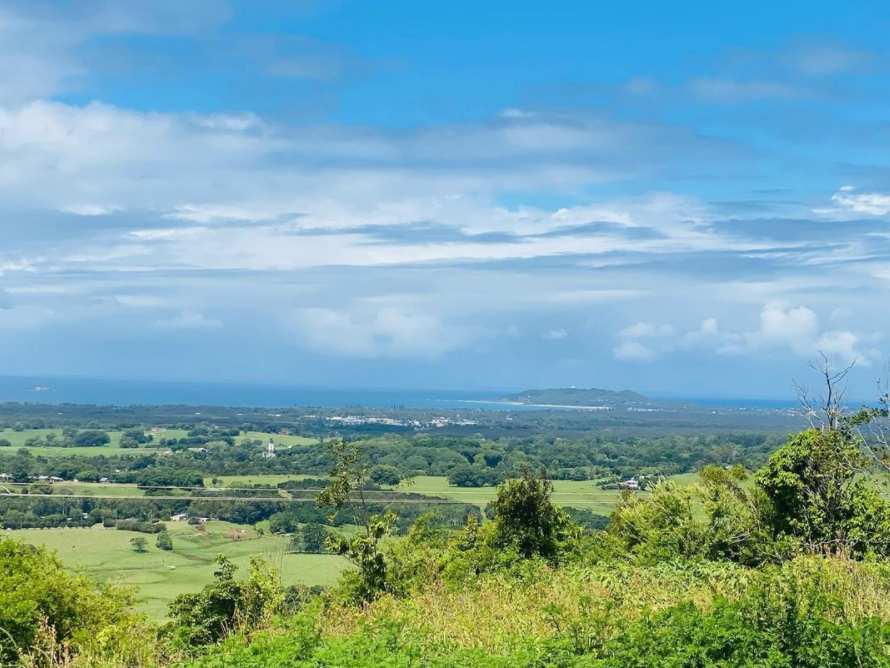 Introducing the NRRT - Lifecycles Byron Bay